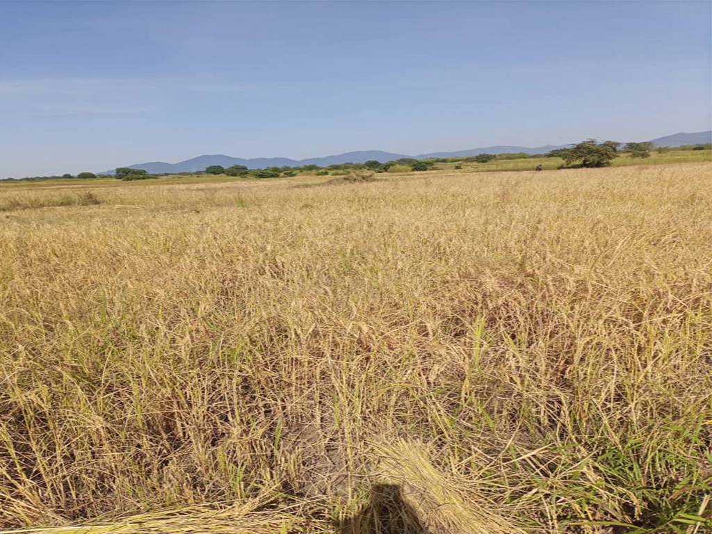 MATMA – Ignite Your Global Investment Journey Now! Malinyi Access to ...